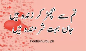 2 Line Love Poetry | Two Lines Love Shayari with Pics
