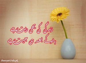 Top 30 Zindagi Poetry in Urdu 2 Lines | Zindagi Shayari Sms