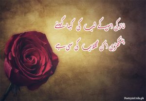 Beautiful Flower Poetry in Urdu Hindi | Love Rose Shayari