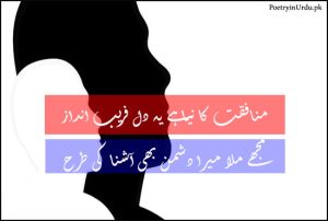 Top Munafiq Poetry in Urdu Status | Munafiq Dost Shayari