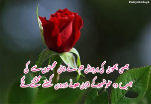Beautiful Flower Poetry in Urdu Hindi | Love Rose Shayari