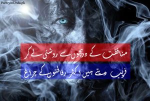 Top Munafiq Poetry in Urdu Status | Munafiq Dost Shayari
