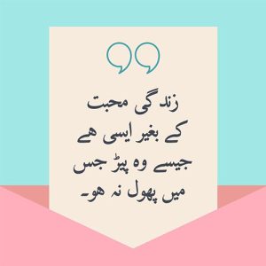 Deep Words in Urdu Text (Copy Paste) with Images